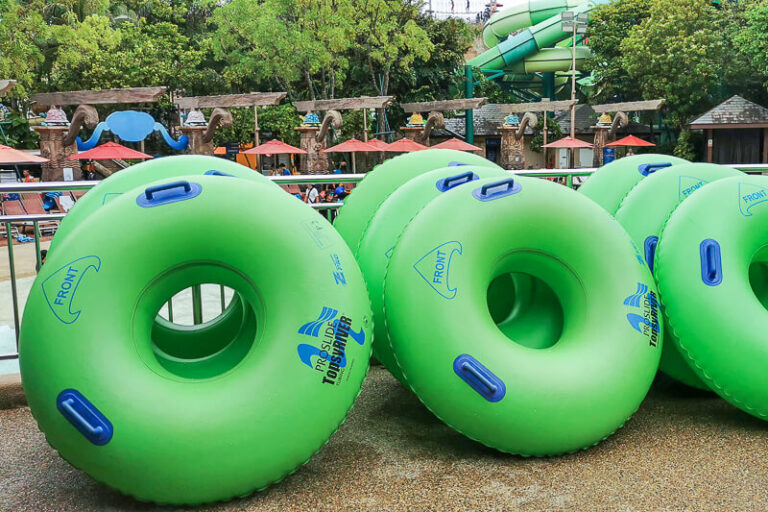 Maximise Your Visit to Adventure Cove Waterpark Singapore