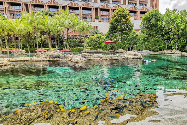 Maximise Your Visit to Adventure Cove Waterpark Singapore