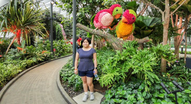 Complete Guide to Canopy Park in Jewel Changi Airport, Singapore
