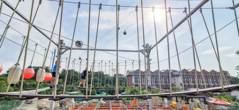 Maximise Your Visit to Adventure Cove Waterpark Singapore