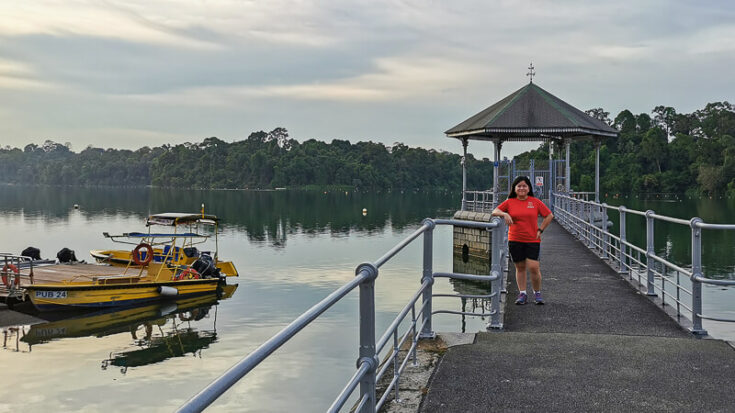 Visiting MacRitchie Reservoir: Everything You Need to Know