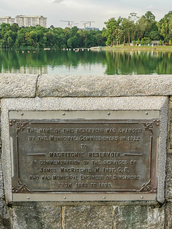 Visiting MacRitchie Reservoir: Everything You Need to Know