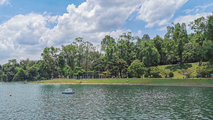 Visiting MacRitchie Reservoir: Everything You Need to Know