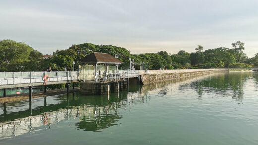 Visiting MacRitchie Reservoir: Everything You Need to Know - Trevallog