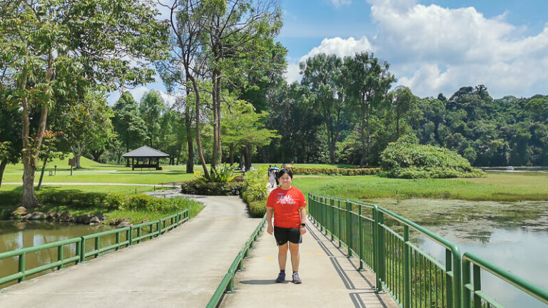 Visiting MacRitchie Reservoir: Everything You Need to Know