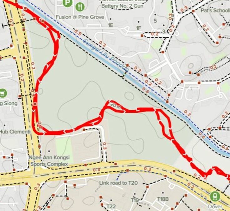 Hiking at Dover Forest West