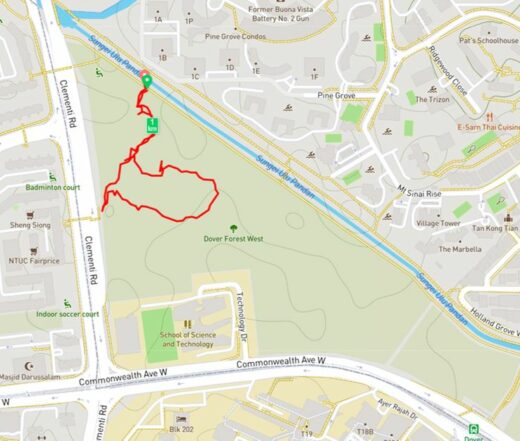 Hiking at Dover Forest West