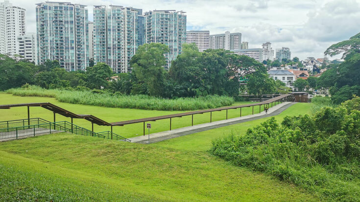 Hiking at Dover Forest East Before It's Gone