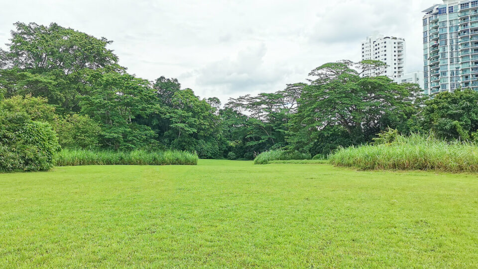 Hiking at Dover Forest West