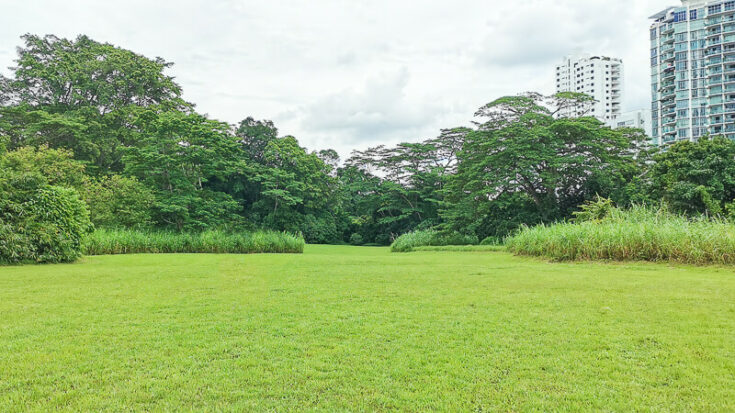 Hiking at Dover Forest West