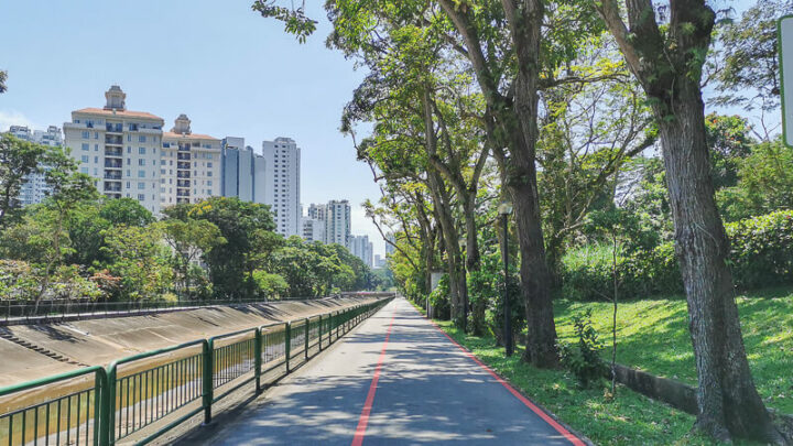 Hiking at Dover Forest West