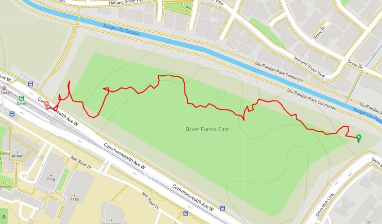 Hiking at Dover Forest East Before It's Gone