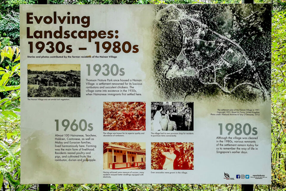 Guide to Hiking at Thomson Nature Park