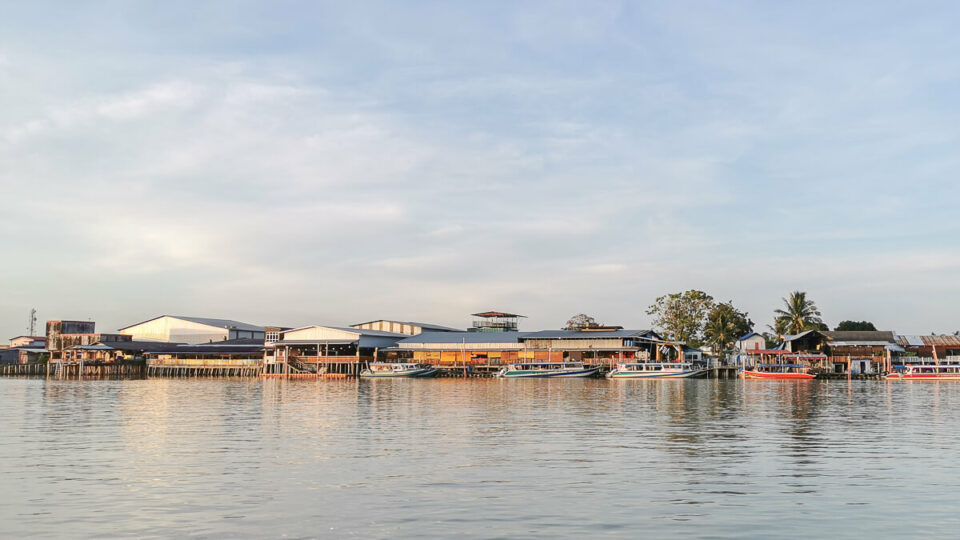 Watching Fireflies, Eagle Feeding, Blue Tears at Kuala Selangor, Malaysia