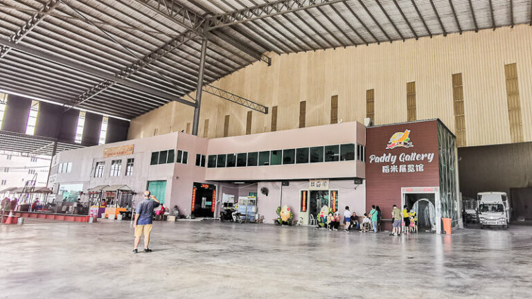 Visiting Paddy Gallery at Sekinchan, Malaysia