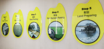 Visiting Paddy Gallery at Sekinchan, Malaysia