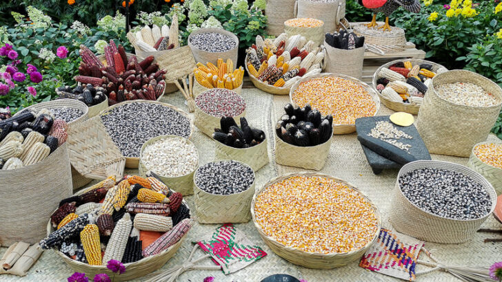 Hanging Gardens - Mexican Roots at Flower Dome, Gardens by the Bay (2022)