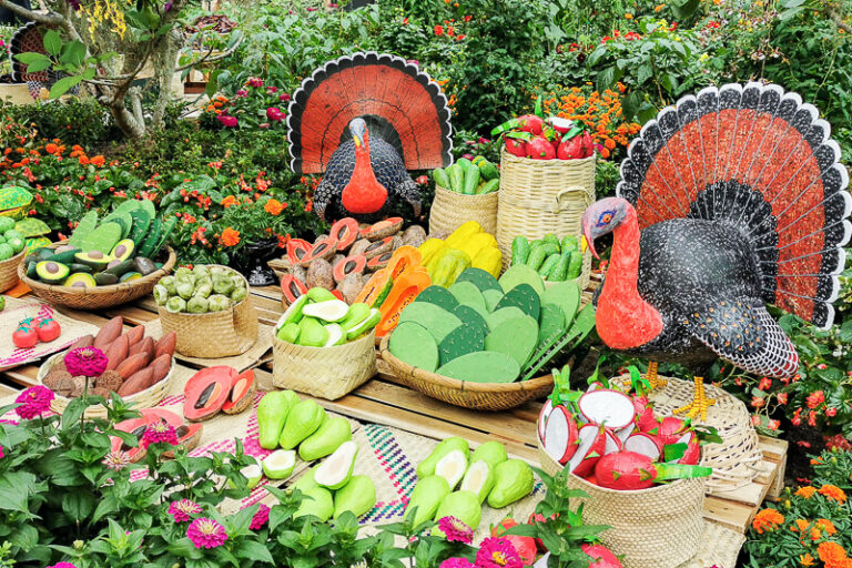 Hanging Gardens - Mexican Roots at Flower Dome, Gardens by the Bay (2022)