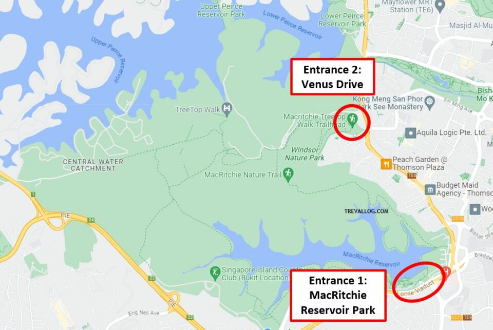 Visiting MacRitchie Reservoir: Everything You Need to Know