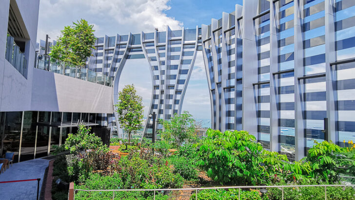 Capitaspring Sky Garden & Green Oasis (Free Admission)