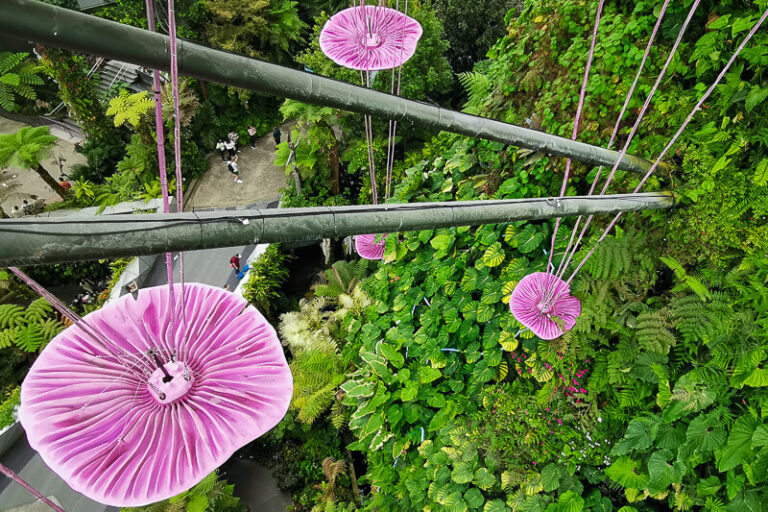 Review - Gardens by the Bay Avatar: The Experience