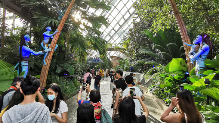 Review - Gardens by the Bay Avatar: The Experience