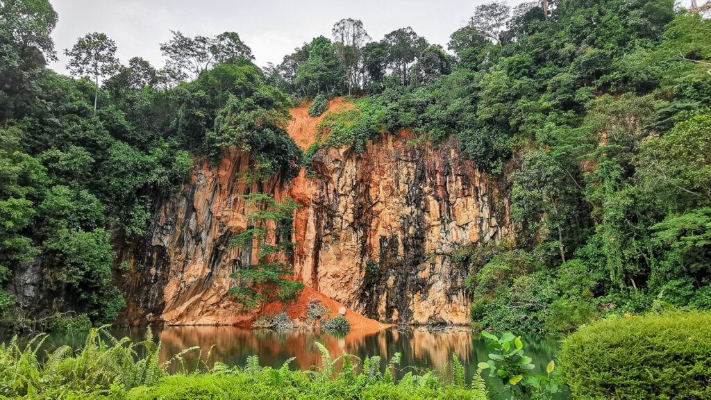 Guide to Visiting Bukit Batok Nature Park