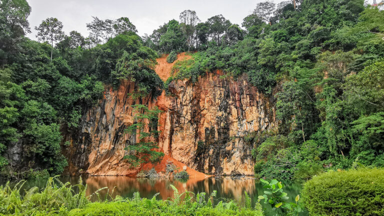 Guide to Visiting Bukit Batok Nature Park