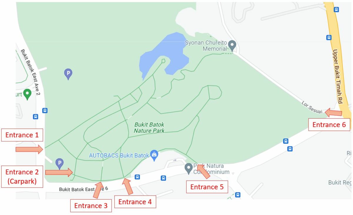 Guide to Visiting Bukit Batok Nature Park