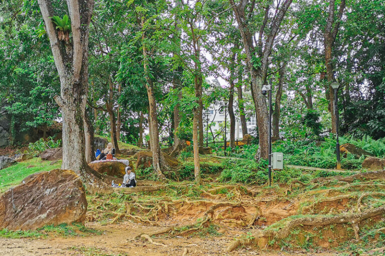 Guide to Visiting Little Guilin in Singapore (Bukit Batok Town Park)