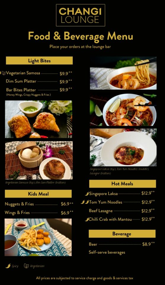 Review: Changi Lounge at Jewel Changi Airport, Singapore (Public Area ...