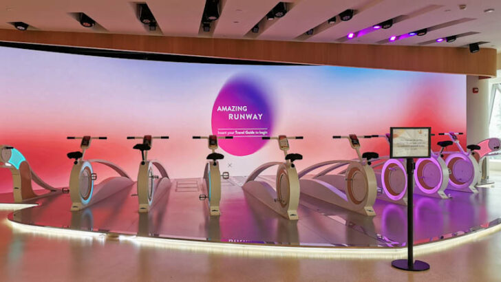 Changi Experience Studio Review: Is It Worth A Visit?