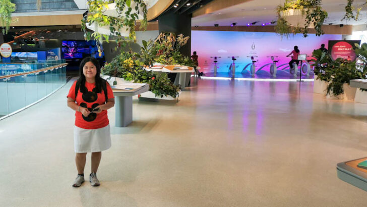 Changi Experience Studio Review: Is It Worth A Visit?