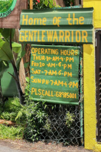 Bollywood Farms - Unique Veggie Farm at Kranji Countryside (Free Admission)