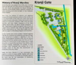 Guide to Visiting Kranji Marshes Singapore