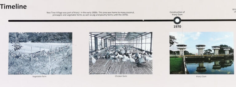 Guide to Visiting Kranji Marshes Singapore