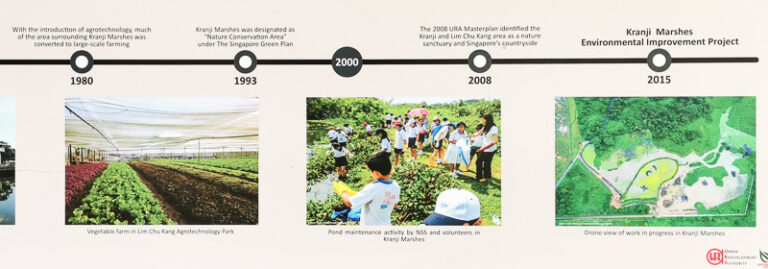 Guide to Visiting Kranji Marshes Singapore