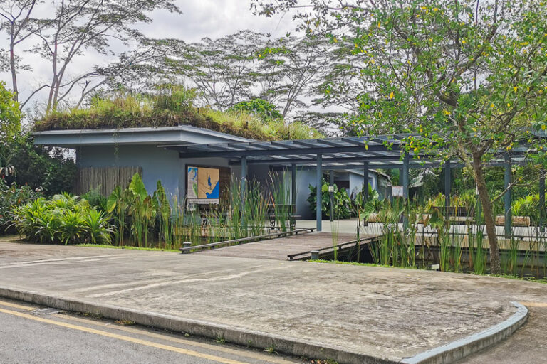 Guide to Visiting Kranji Marshes Singapore