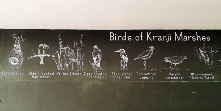 Guide to Visiting Kranji Marshes Singapore