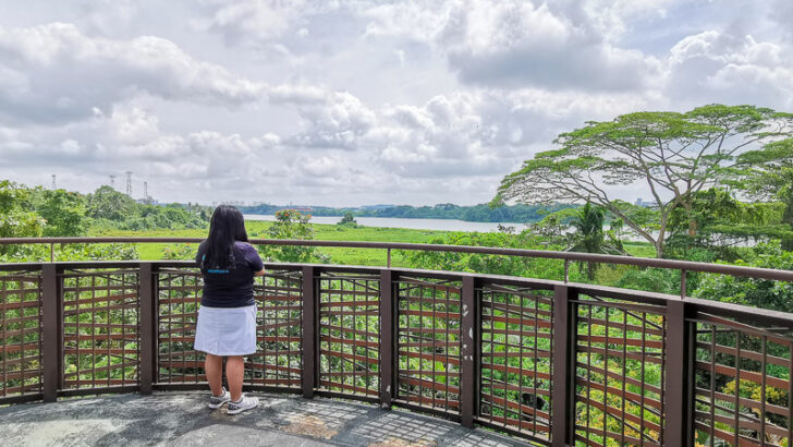 A Guide to Kranji Countryside