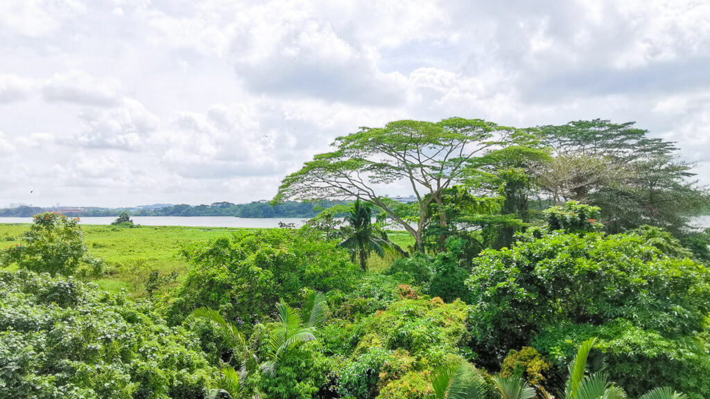 A Guide to Kranji Countryside