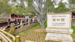 A Guide to Summer Palace, Beijing