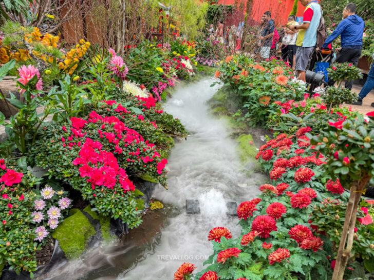 CNY 2025: Spring Blossoms - Legend of Lady White Snake at Flower Dome ...
